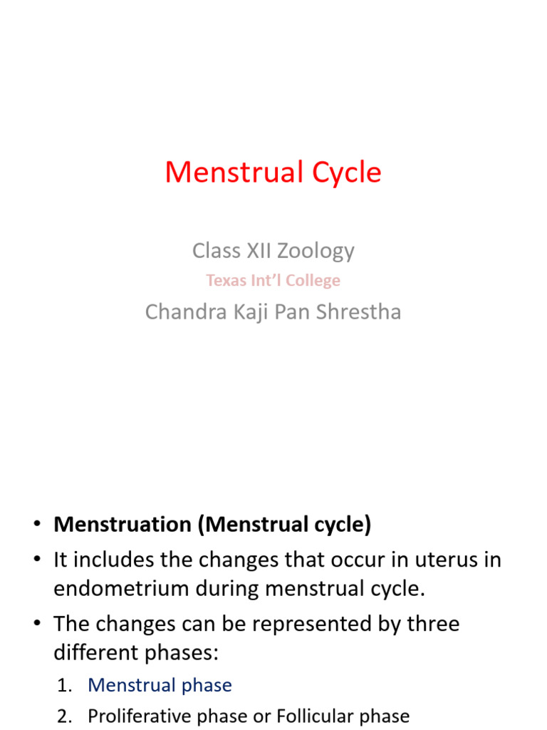 Menstruation For Students Pdf