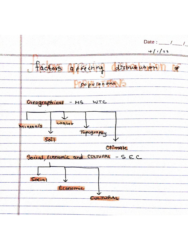 Assignment 1-Mind Map | PDF