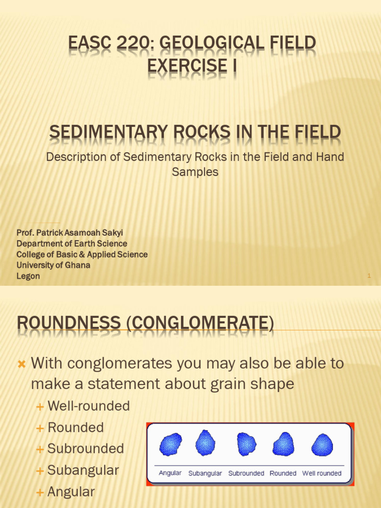 EASC 220 - E - Sedimentary Rocks in The Field | PDF