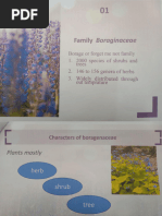 Brassicaceae Family Overview and Diagram | PDF | Plants | Plant Morphology