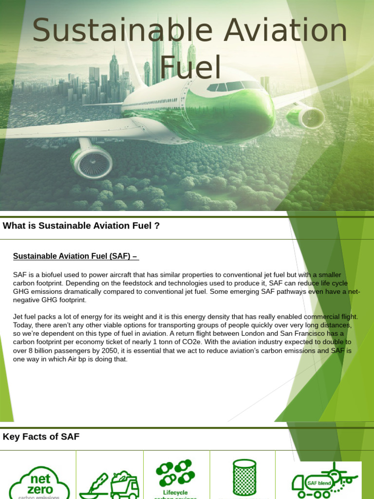 SAF PPT _ Neha Chhikara | PDF