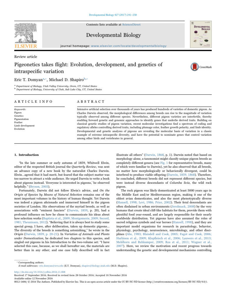 Pigeonetics Takes Flight Evolution Development and Gen - 2017 ...