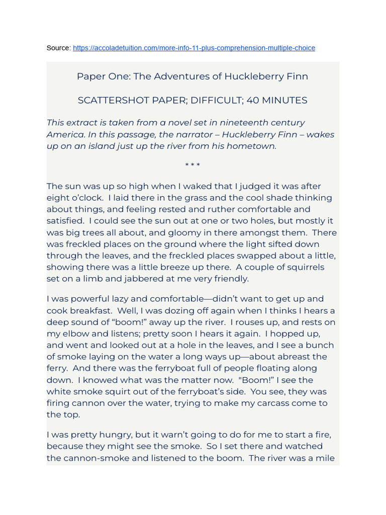 The Adventures of Huckleberry Finn | PDF