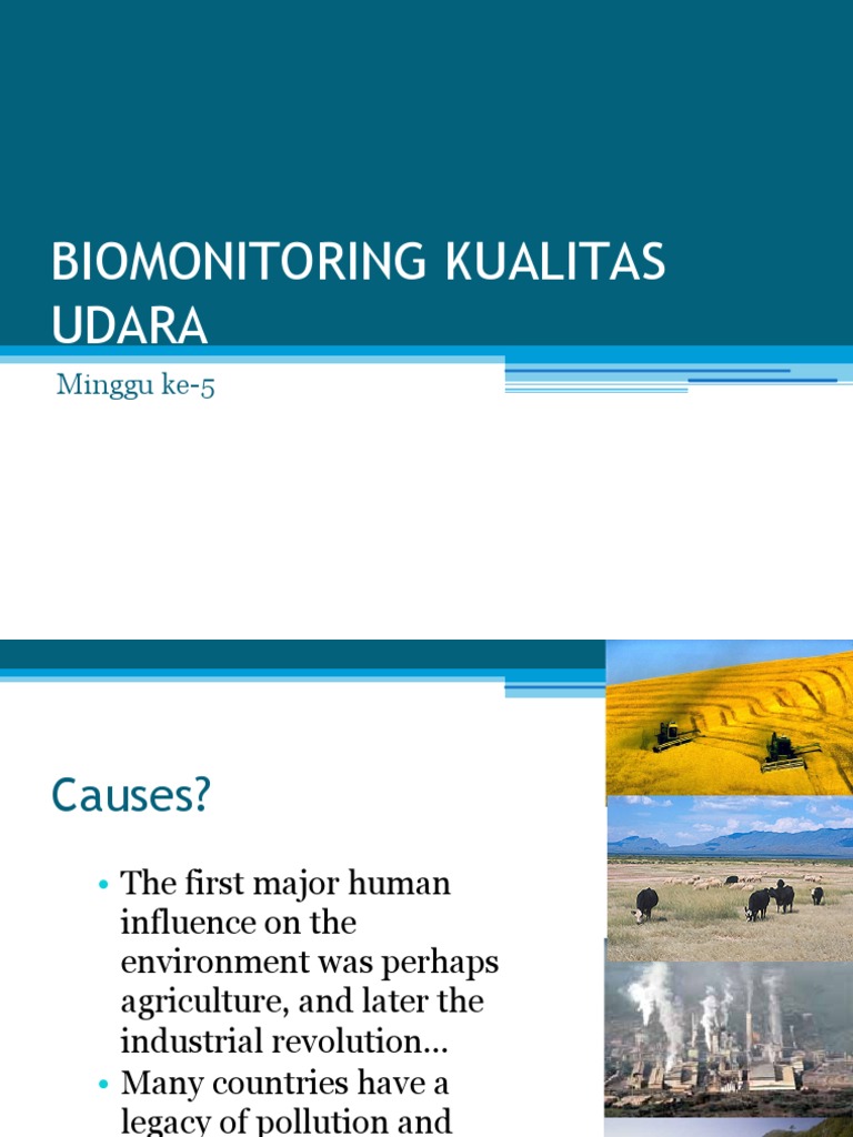 Biomonitoring Kualitas Udara 1 | PDF | Ozone | Air Pollution