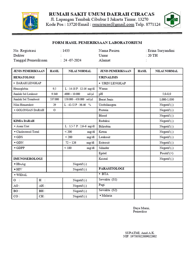 Form Hasil Pemeriksaan Laboratorium 012048 PM - 47cc90 | PDF
