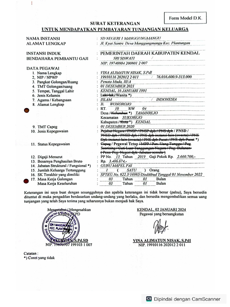 Skum Scan | PDF