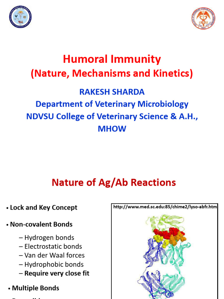 Humoral Immunity Nature Mechanisms and Kinetics | PDF