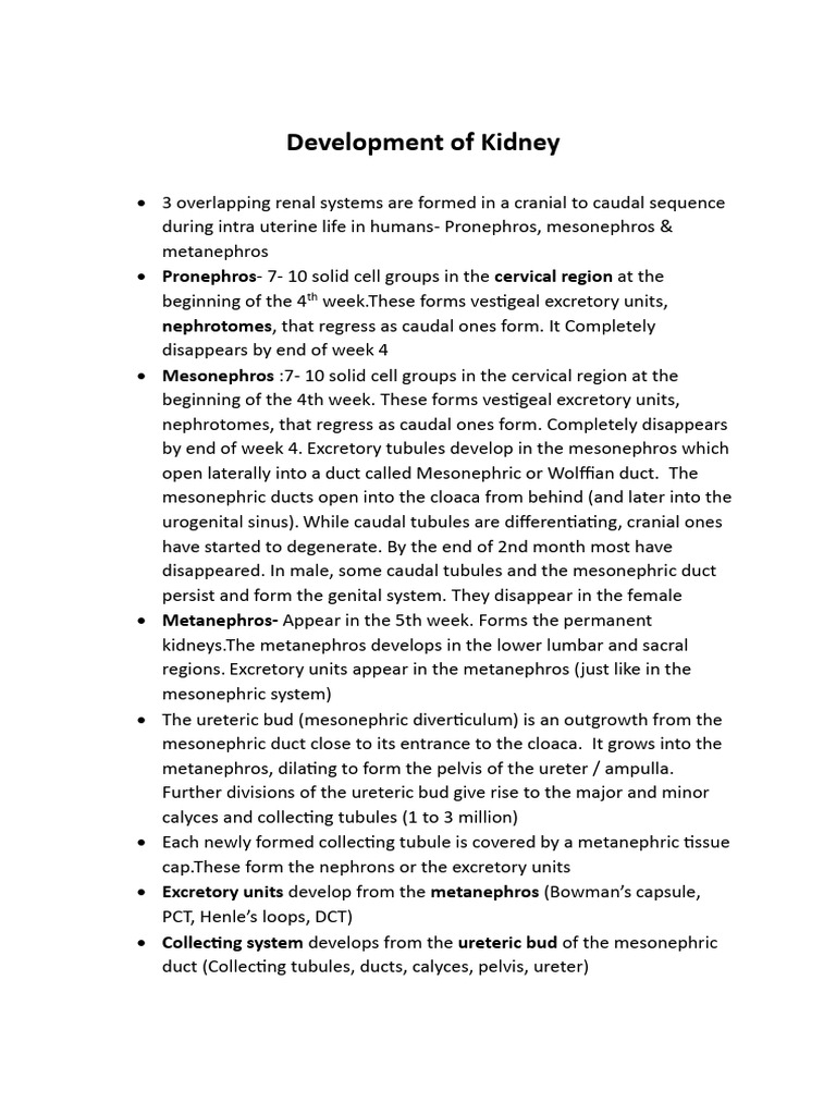 Dev of Kidney | PDF
