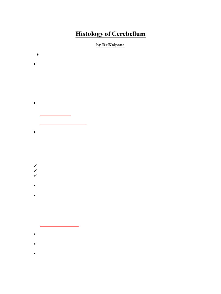 Cerebellum -Histology- Notes | PDF