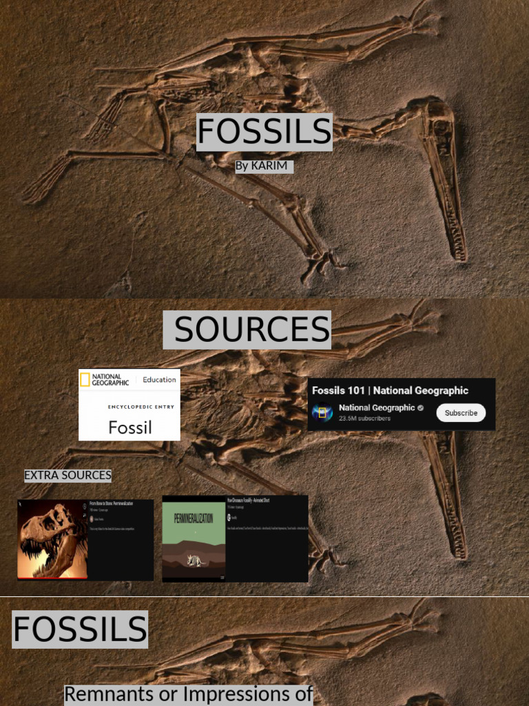 Fossils | PDF