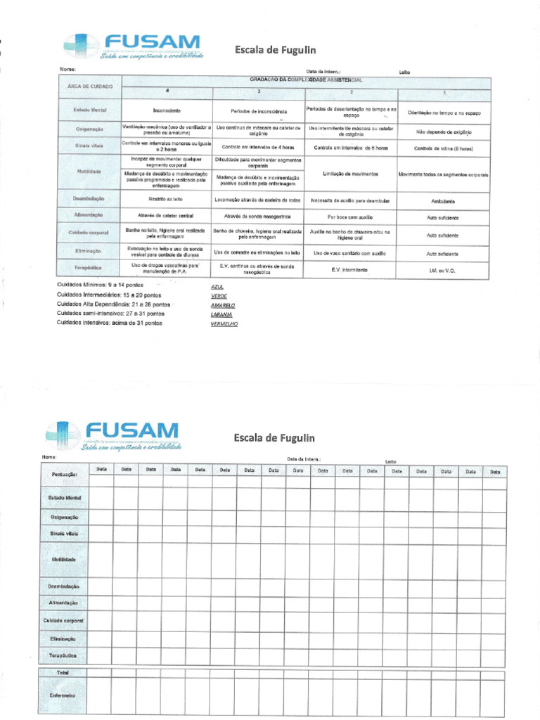 Escala de Fugulin | PDF
