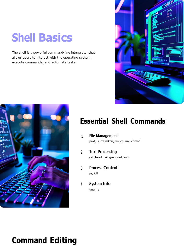 Shell Basics | PDF