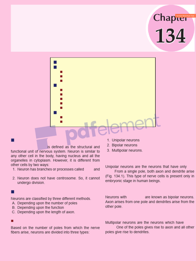 1622859954FNTA - SEM - 4 - CC-9 - CHAPTER-1 - NEURON - K-Sembulingam-Essentials-Of-Medical ...