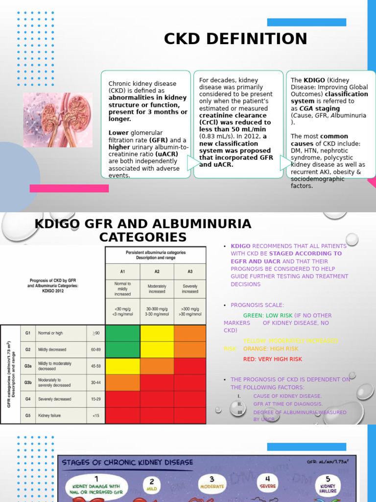 CKD+Introduction | PDF