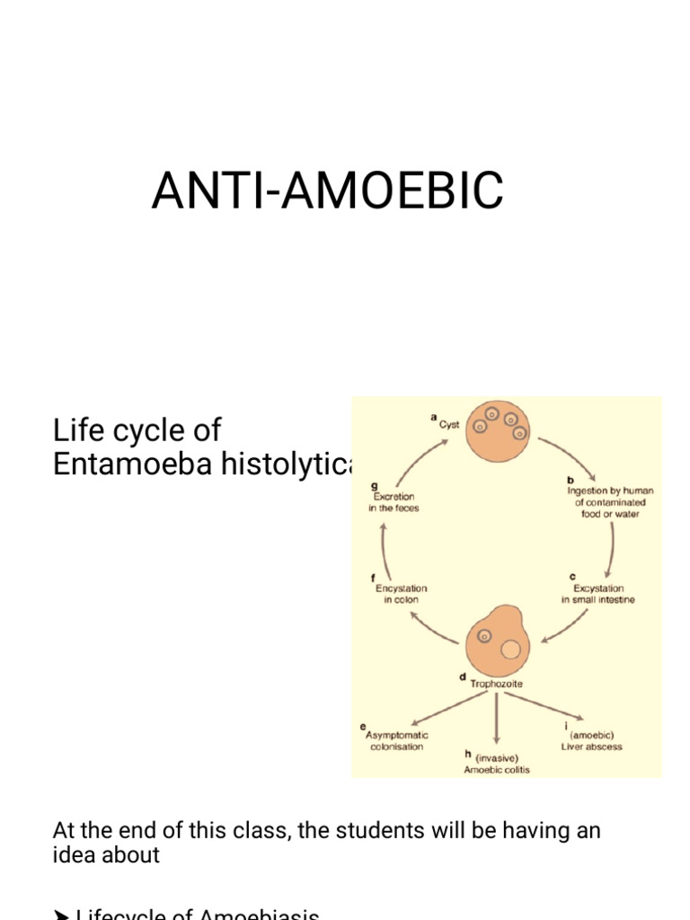 Anti-Amoebic and Anti-Protozoal Drugs | PDF