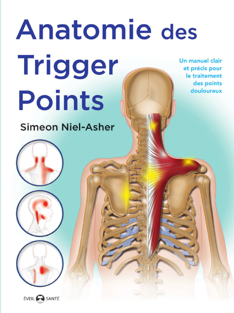 Anatomie Des Trigger Points | PDF