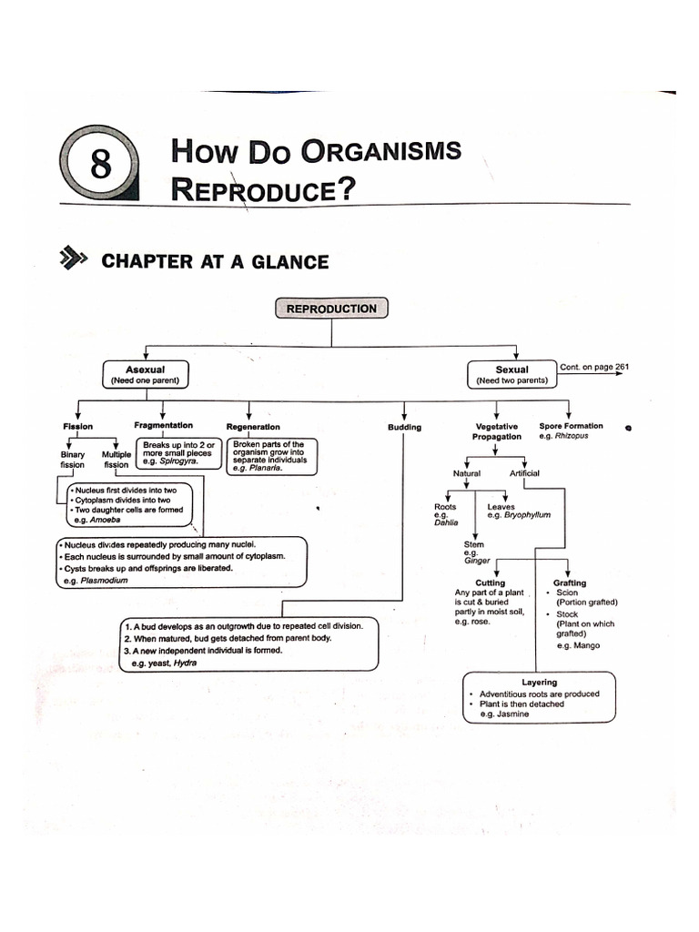 How do organisms reproduce mind map | PDF