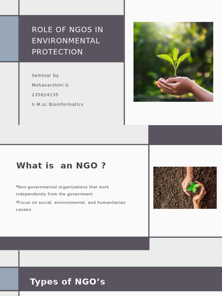 NGOs: Key Players in Environmental Protection | PDF | Non Governmental ...