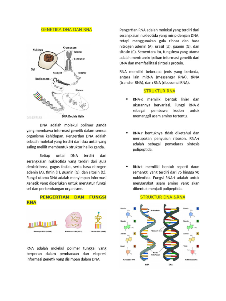 Genetika Dna Dan Rna | PDF