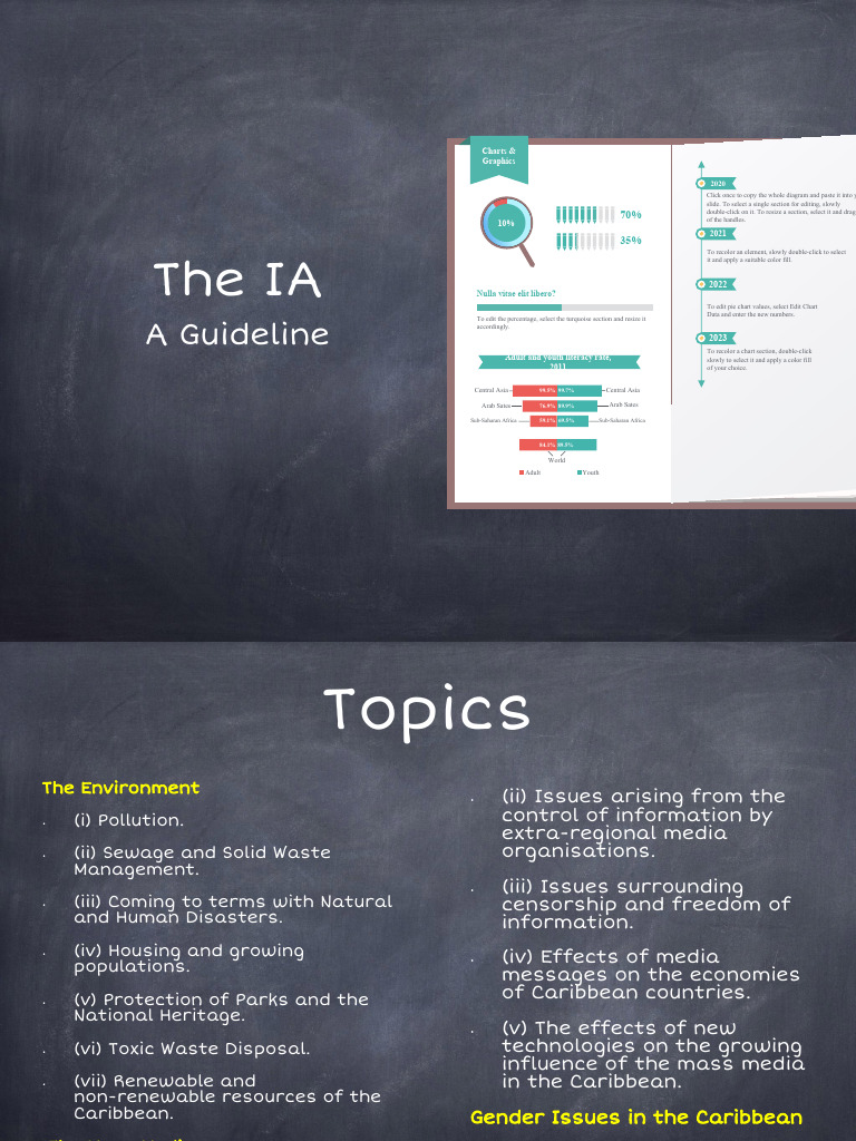 The IA Guideline | PDF