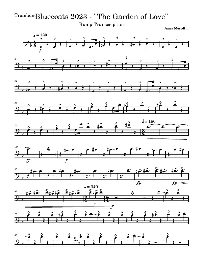 Bloo 2023 Bump Section | PDF