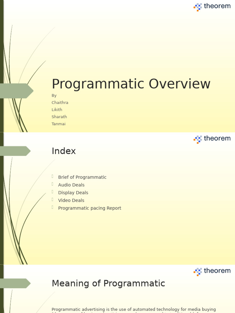 Programmatic | PDF