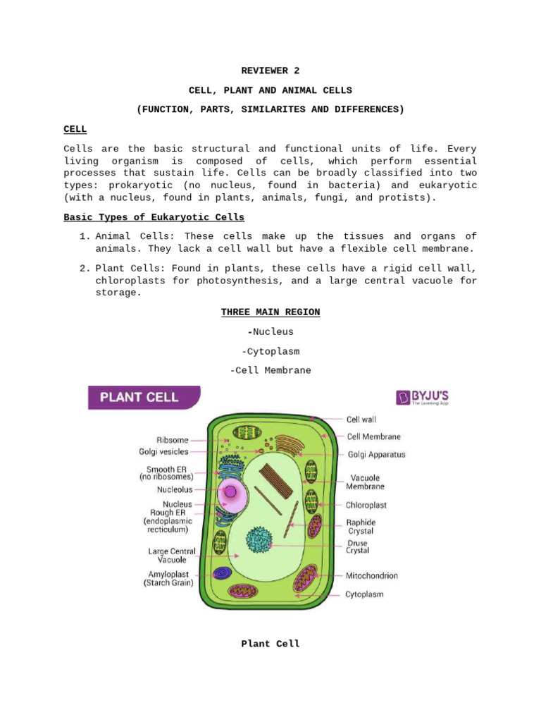 Cells Reviewer | PDF
