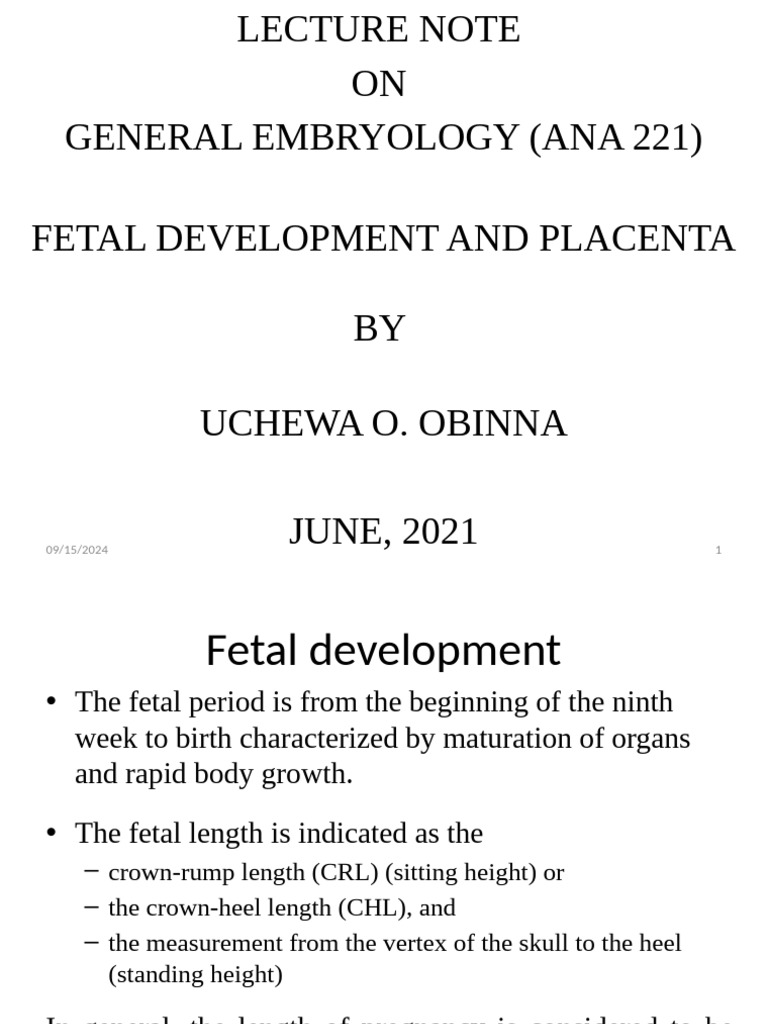 Fetal Development | PDF