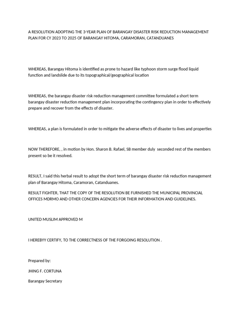 3 Year Plan BDRRM | PDF