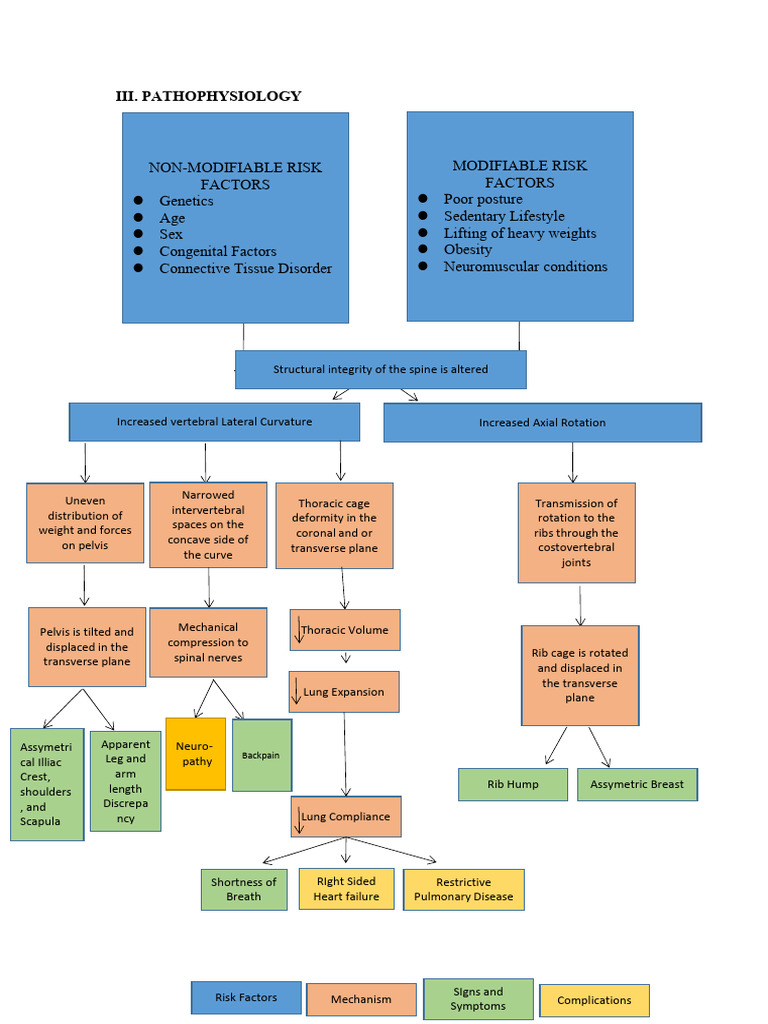 Scoliosis Pathophysiology | PDF