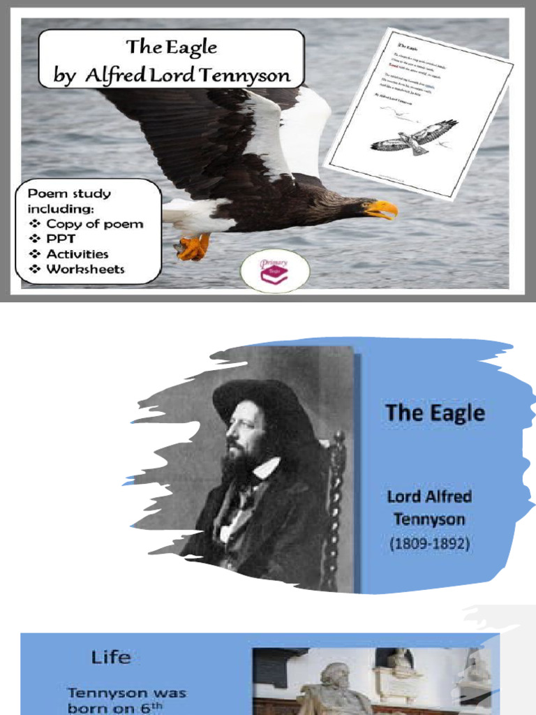 The Eagle Poem | PDF