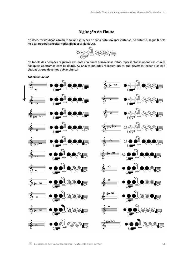 Digitação Flauta Transversal Completo | PDF