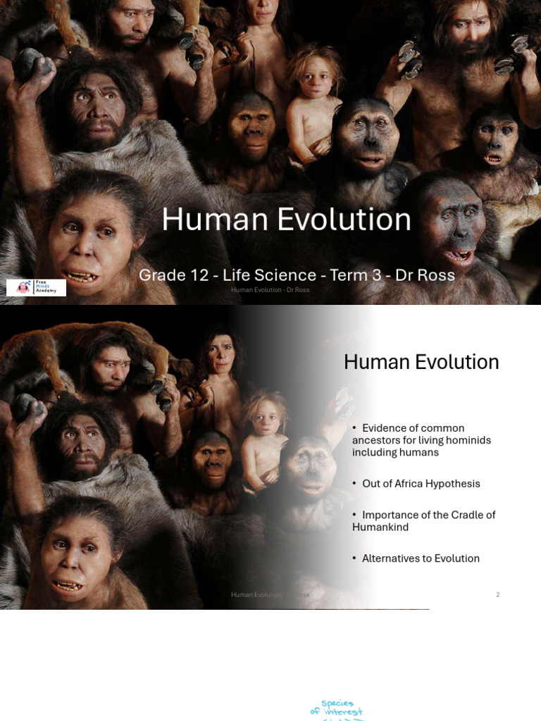Human Evolution - DR Ross | PDF