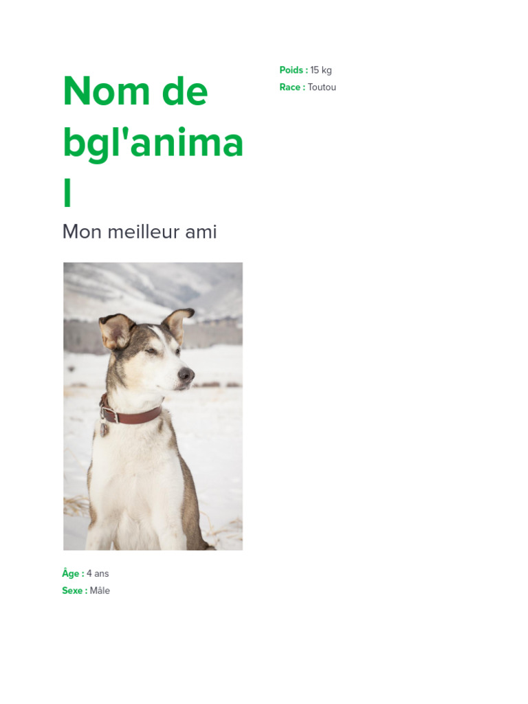 Fiche Animal | PDF