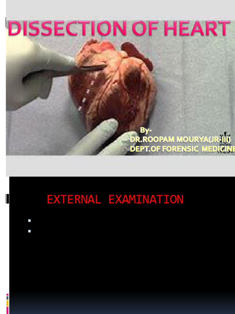 I Am Sharing 'Dissection of Heart PPT' With You | PDF | Coronary ...