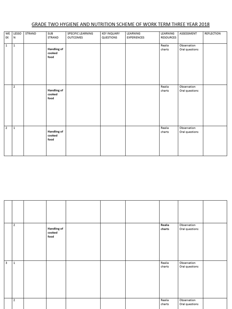 Grade 2 Term 3 Schemes of Work Hygiene | PDF