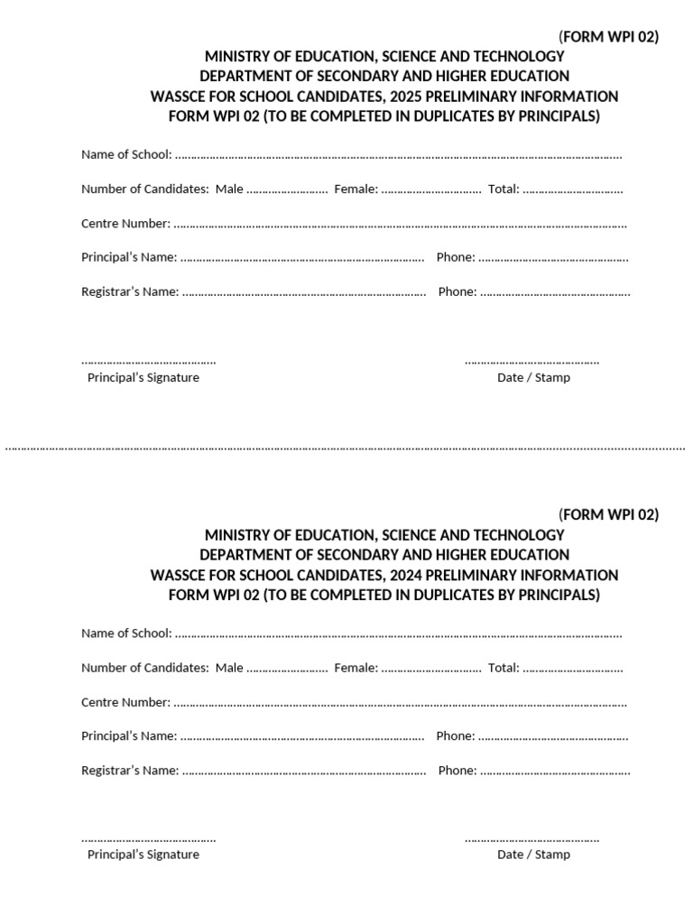 2025 WPI FORM | PDF