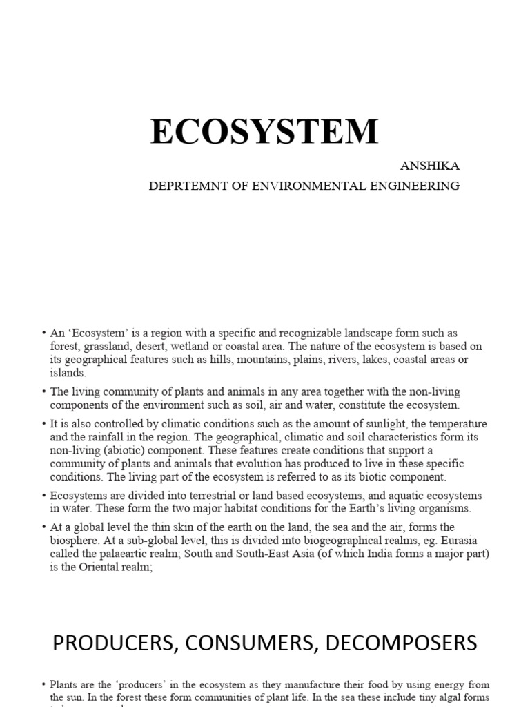 ECOSYSTEM | PDF