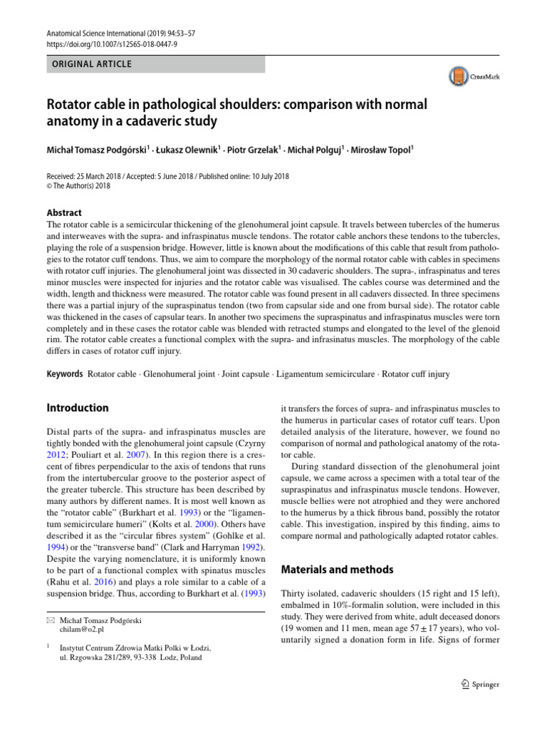 Rotator Cable in Pathological Shoulders | PDF