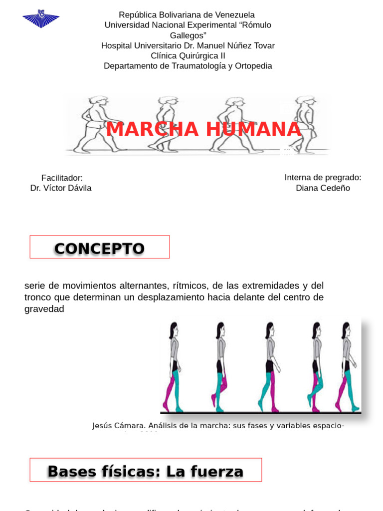 Marcha Humana Diana Cedeño | PDF