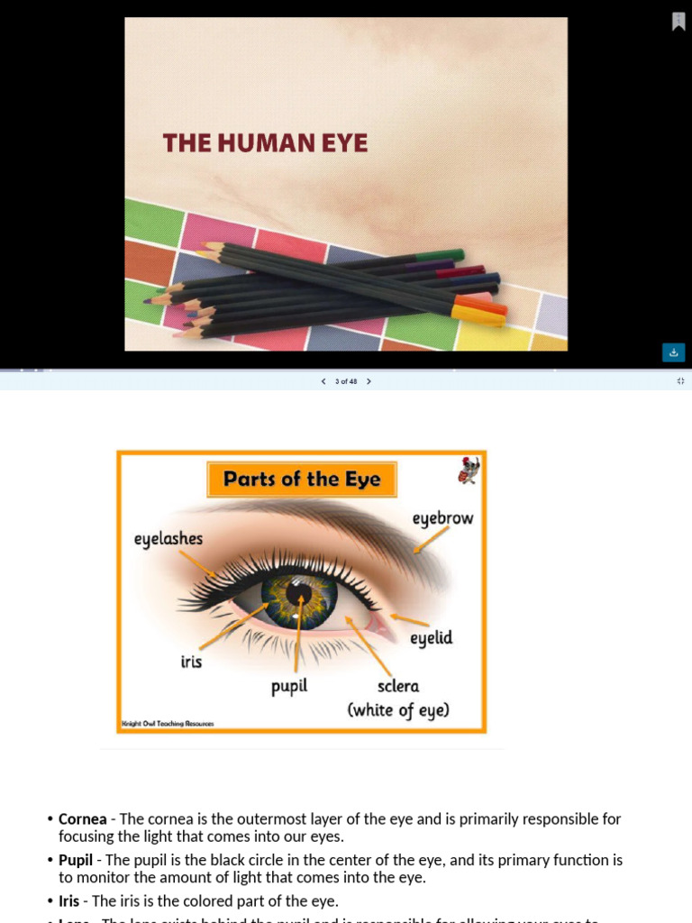 Eyes and Defects Optical Instruments | PDF