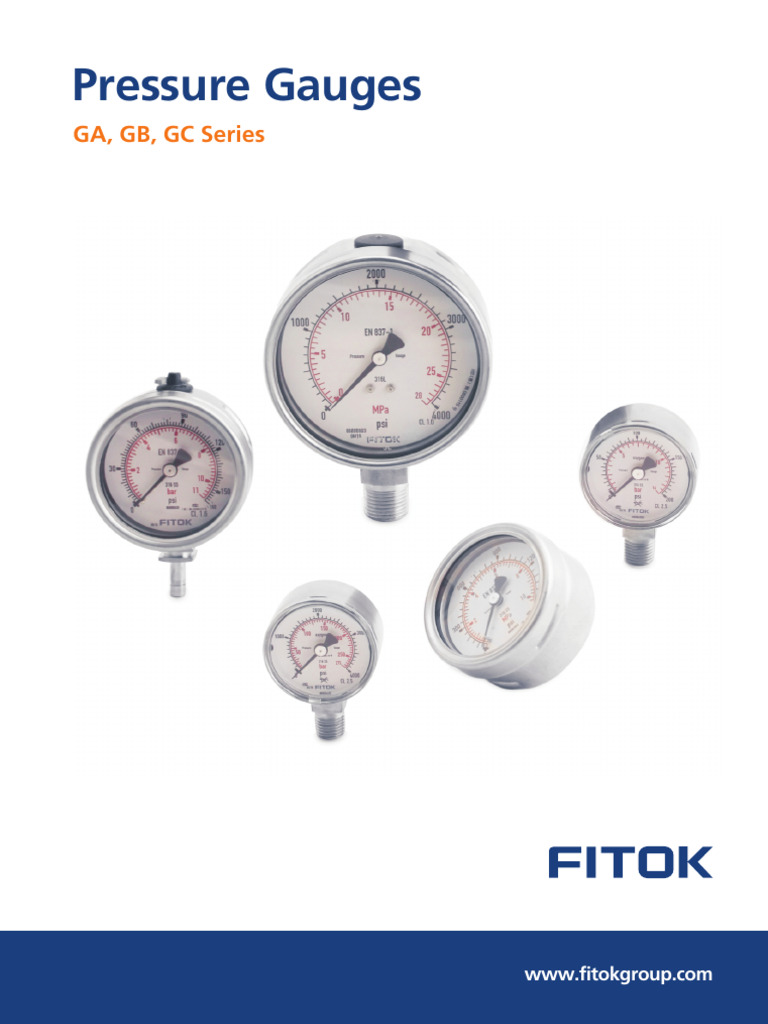 Pressure Gauge | PDF