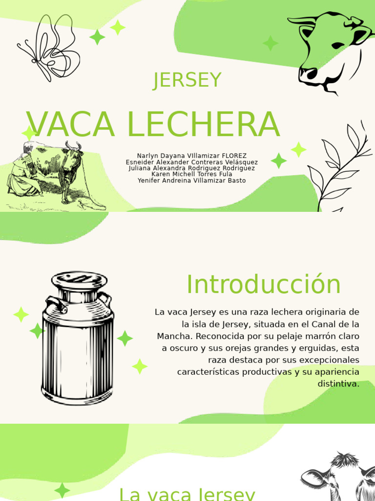 Diapositiva Vaca | PDF