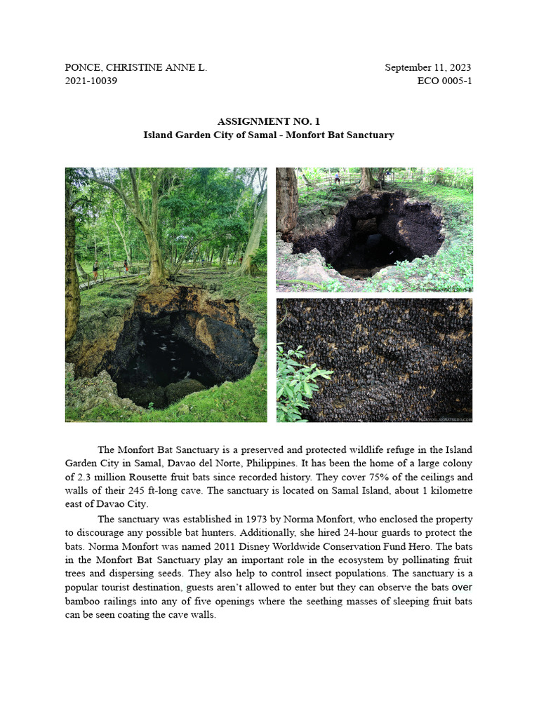 PONCE ECO Assignment 1 | PDF