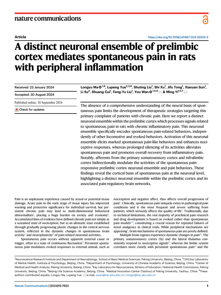 A Distinct Neuronal Ensemble of Prelimbic Cortex Mediates Spontaneous ...