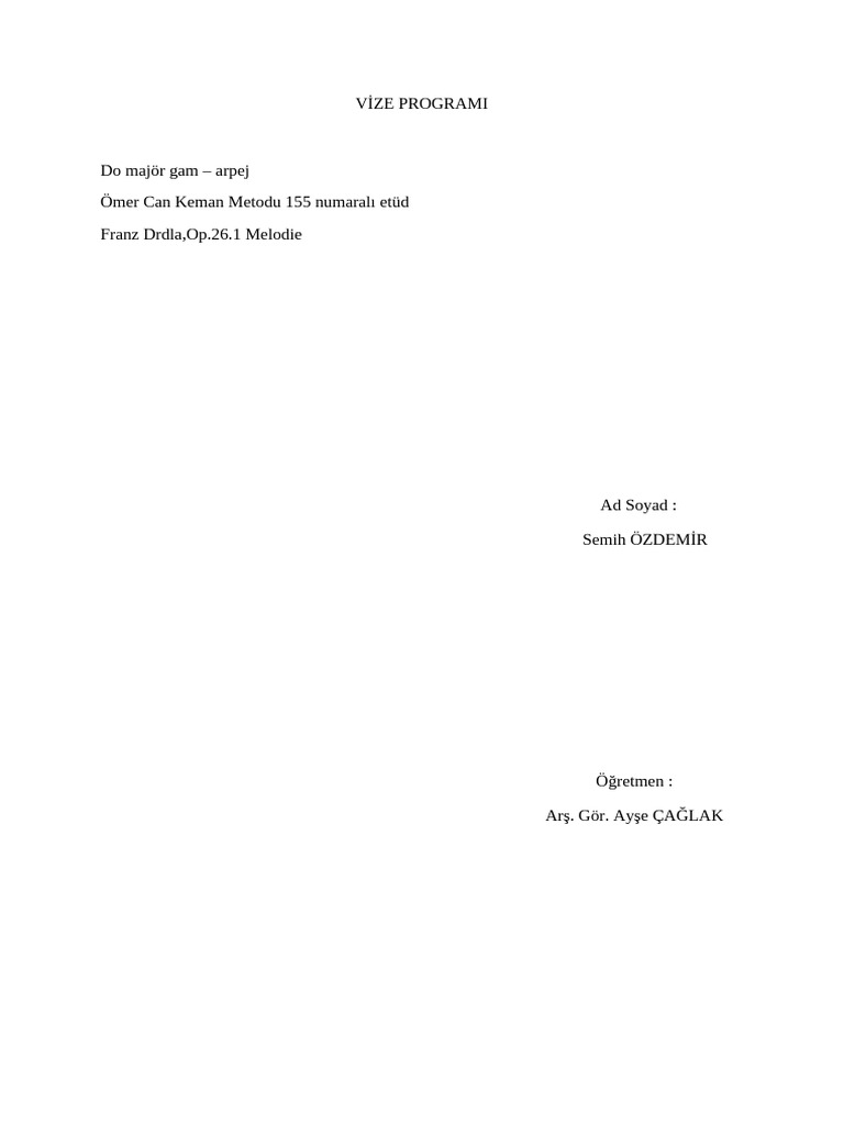 Vize Programı | PDF