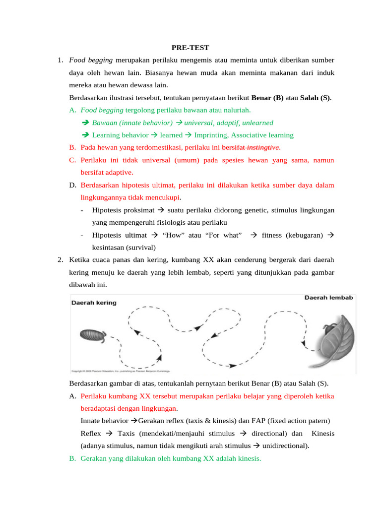 Soal Pre-Test 2 - Analysis | PDF