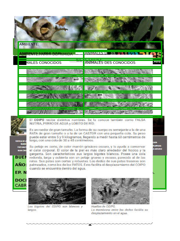 Cuadernillo Leer y Escribir Con Animales de La Provincia de BS - As | PDF