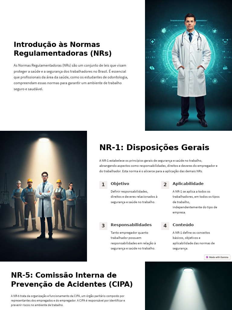 Introducao As Normas Regulamentadoras NRs | PDF