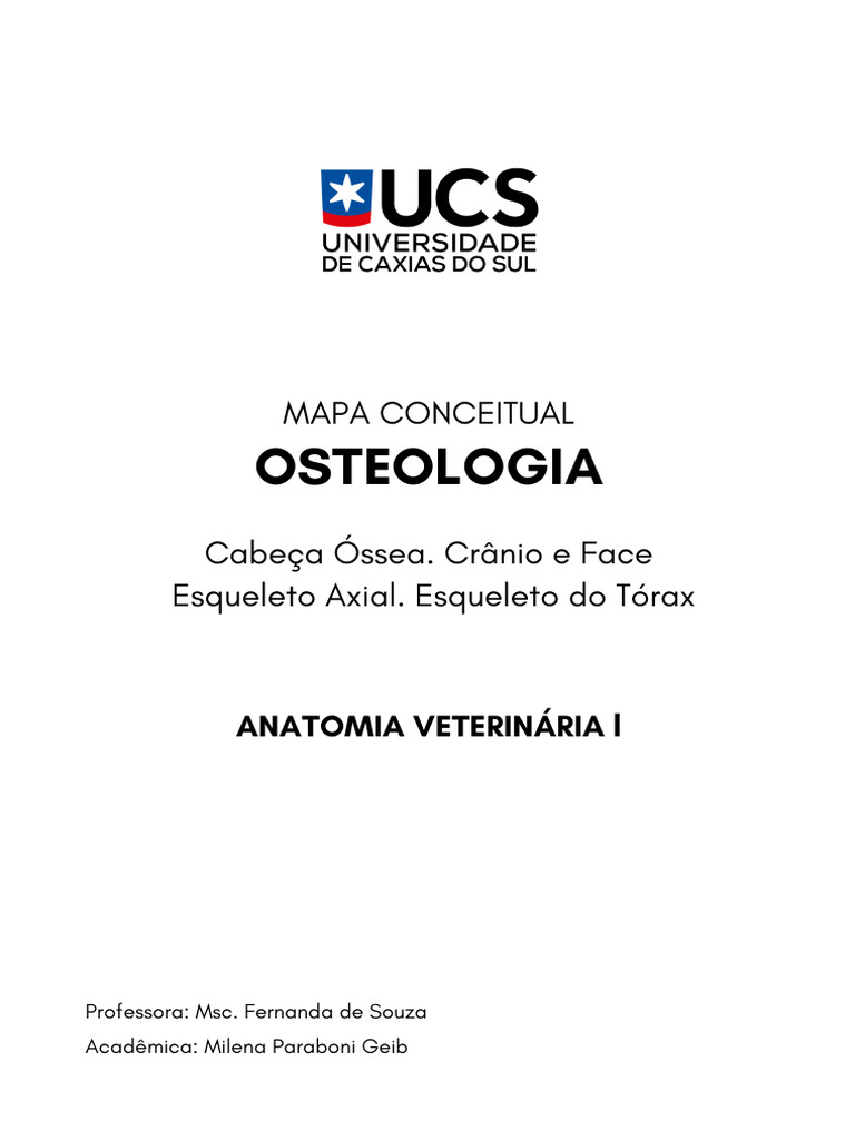 ANATO I - Mapa Mental. Osteologia - Milena P. Geib | PDF